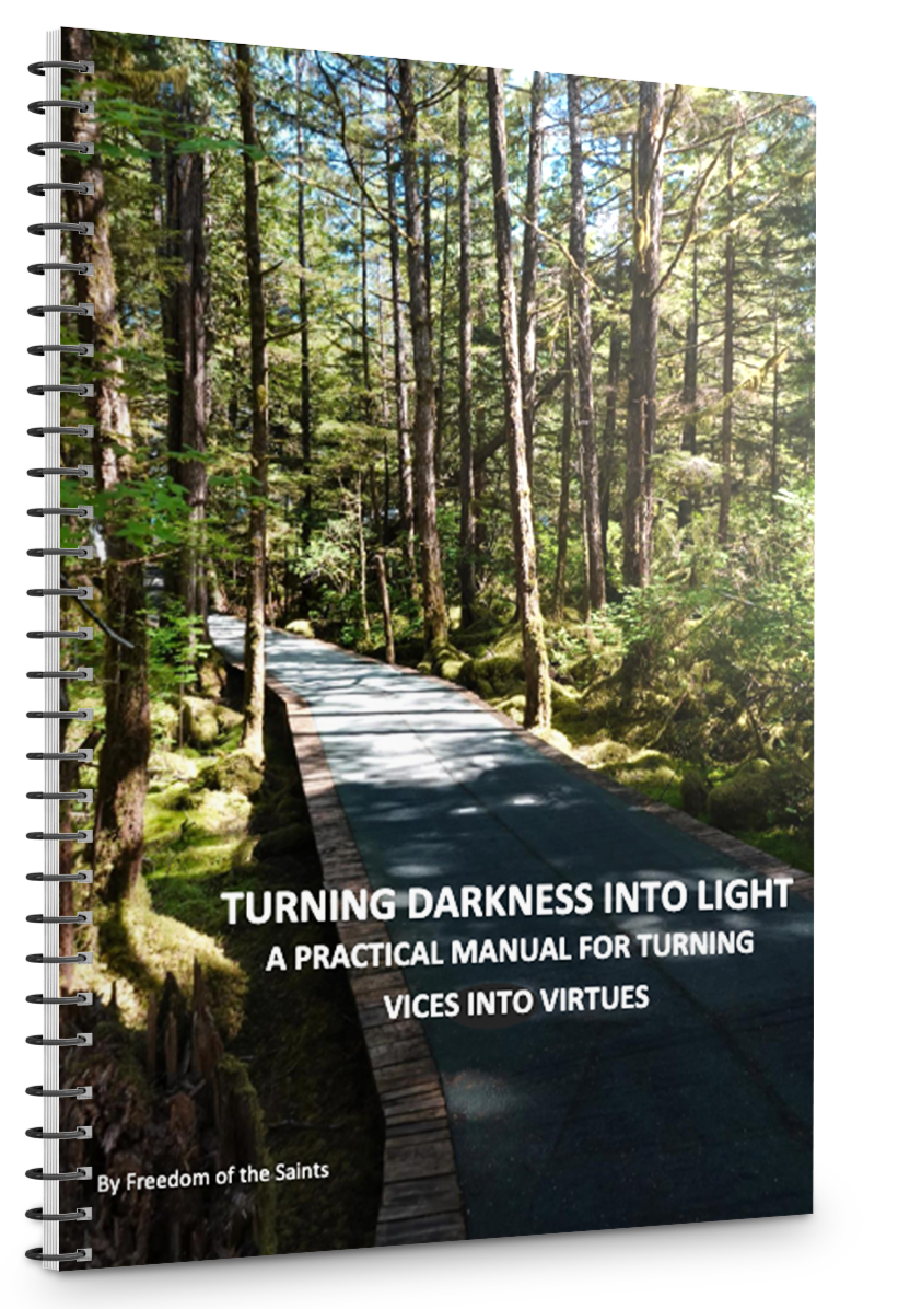 Turning Darkness into Light a Practical Manual for Turning Vices into – Road to Purity Store