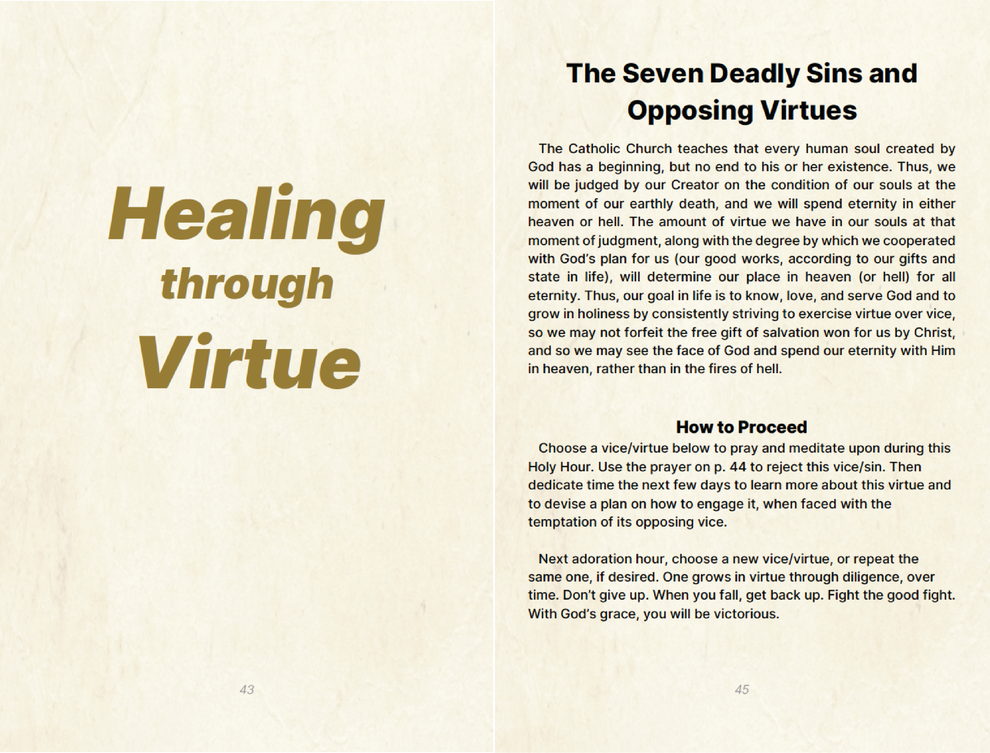 Holy Hours of Meditation and Healing – Road to Purity Store